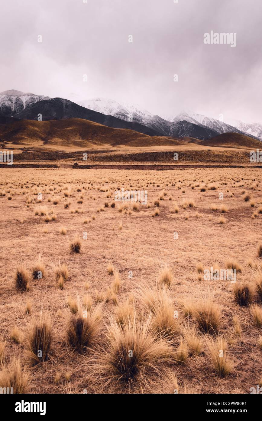 Dry grassland with rolling hills by the snowy Andes mountains in Valle ...