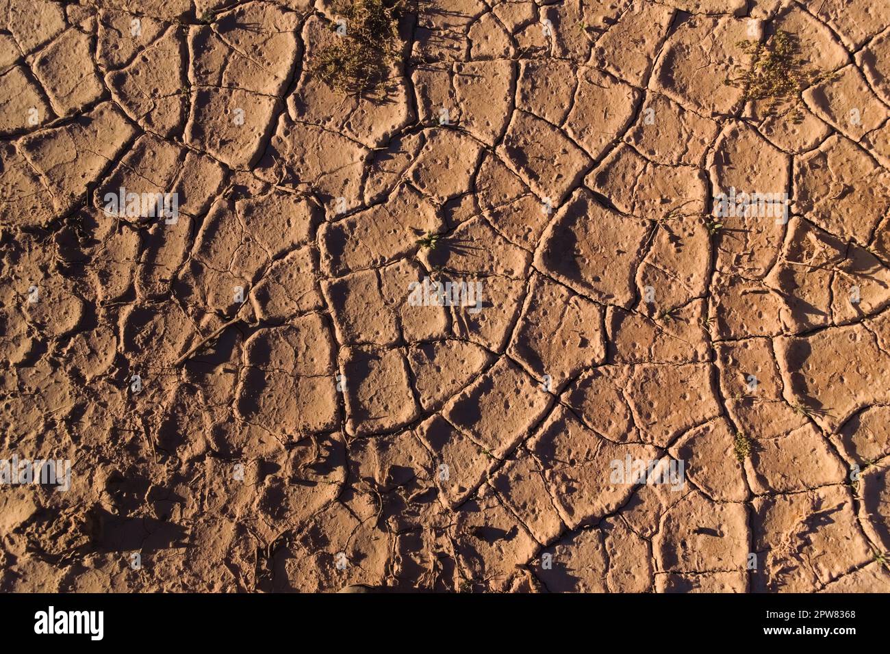 Dry, cracked soil in the desert. Close up texture Stock Photo - Alamy