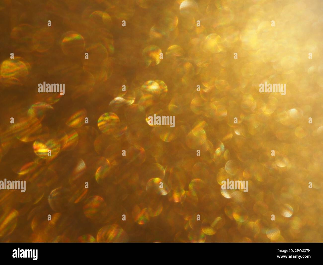 Bokeh light of gold glitters. Golden glitter texture background ...