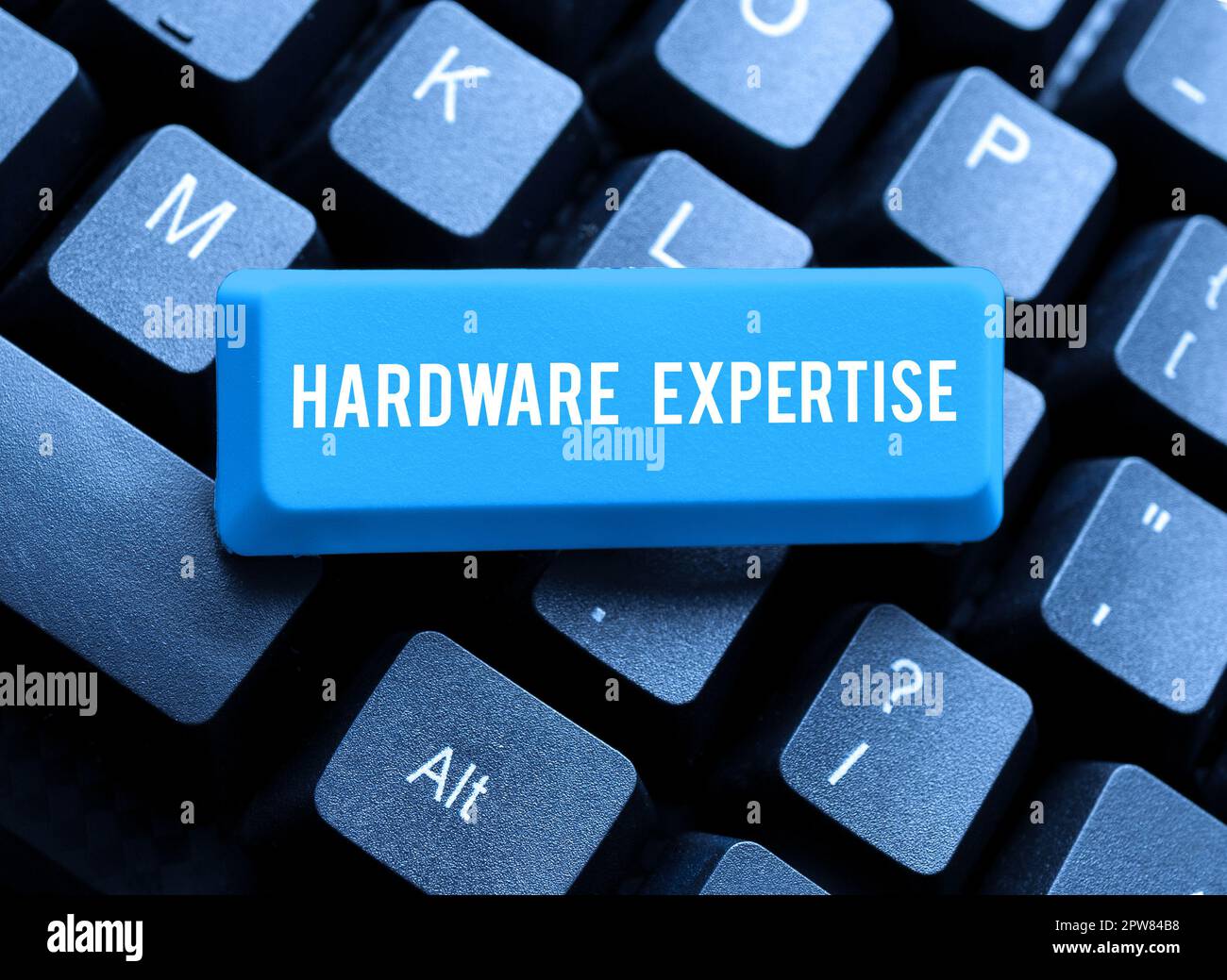 Text caption presenting Hardware Expertise, Business idea machines and ...