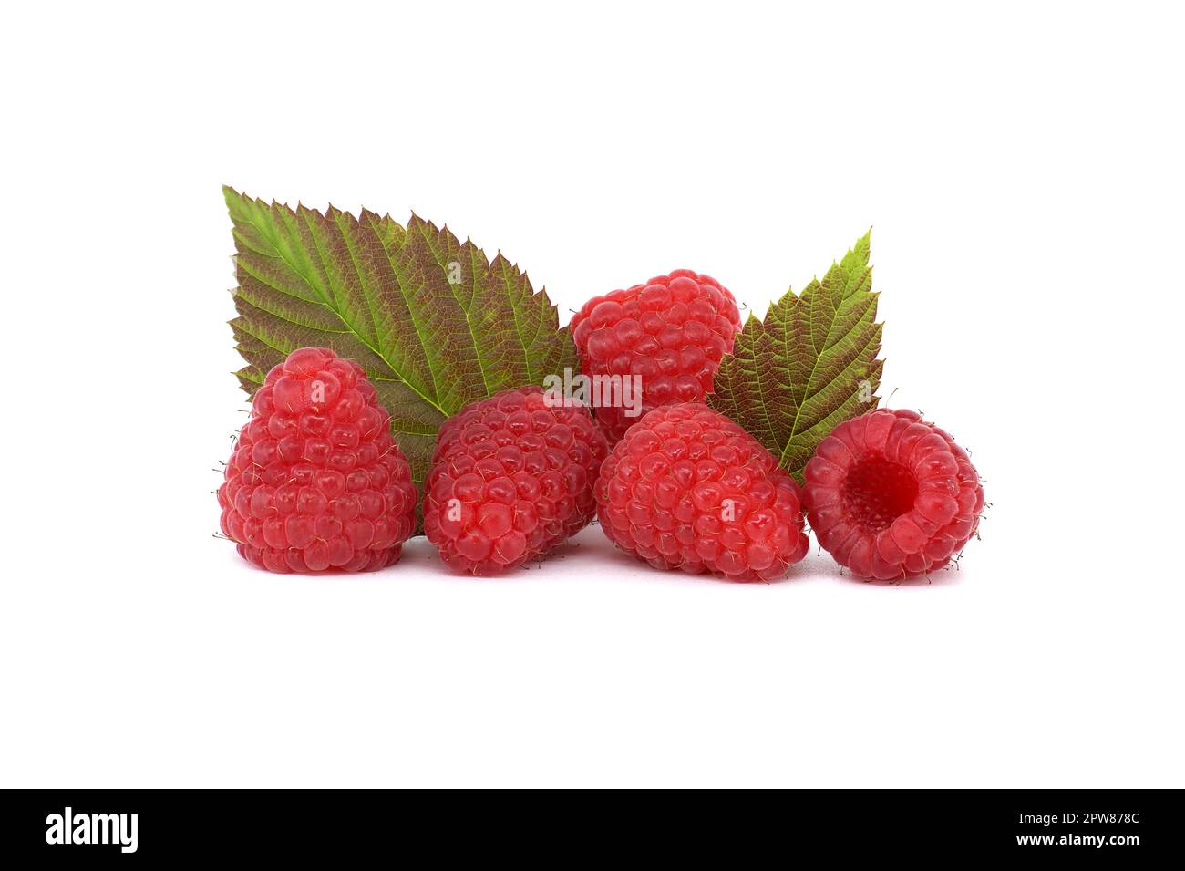 Bunch of ripe raspberry fruits with green leaves isolated on white ...