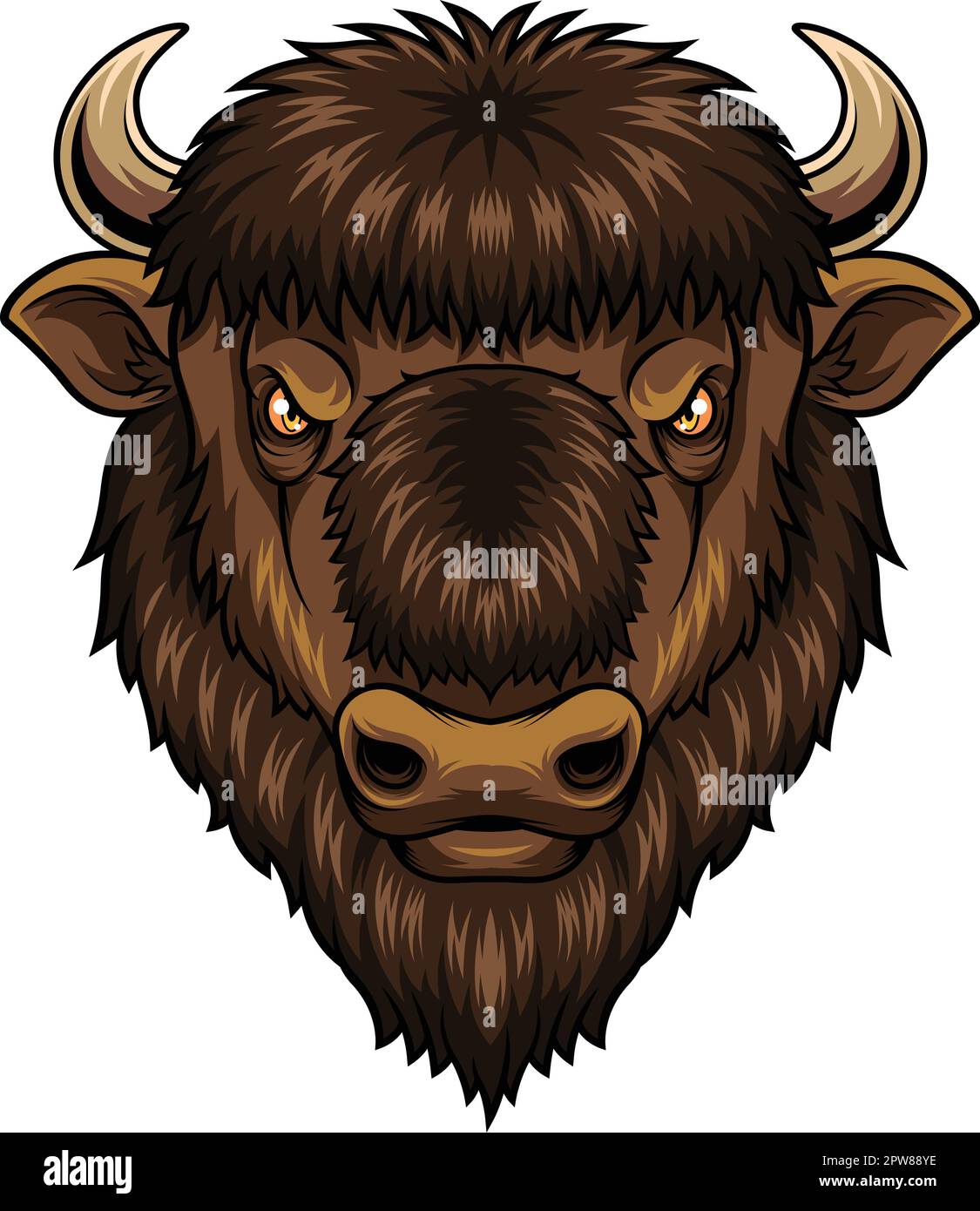 American bison bison bison face Cut Out Stock Images & Pictures - Alamy