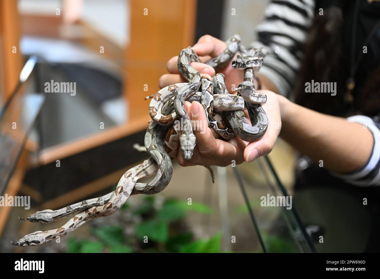 Unteruhldingen Am Bodensee, Germany. 28th Apr, 2023. Renate Hug ...