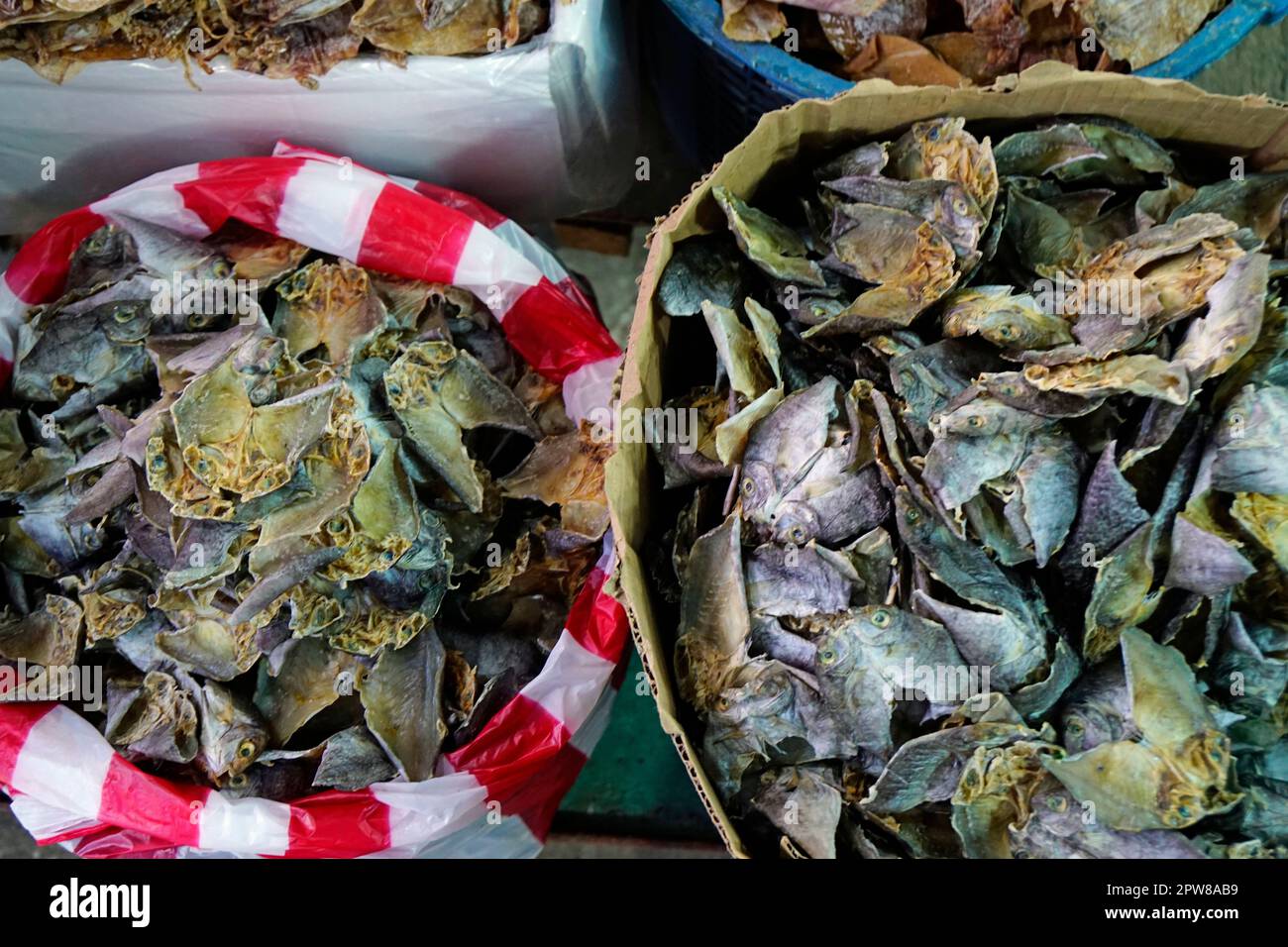 cebu city fish market - vendors selling fresh tasty fish Stock Photo ...
