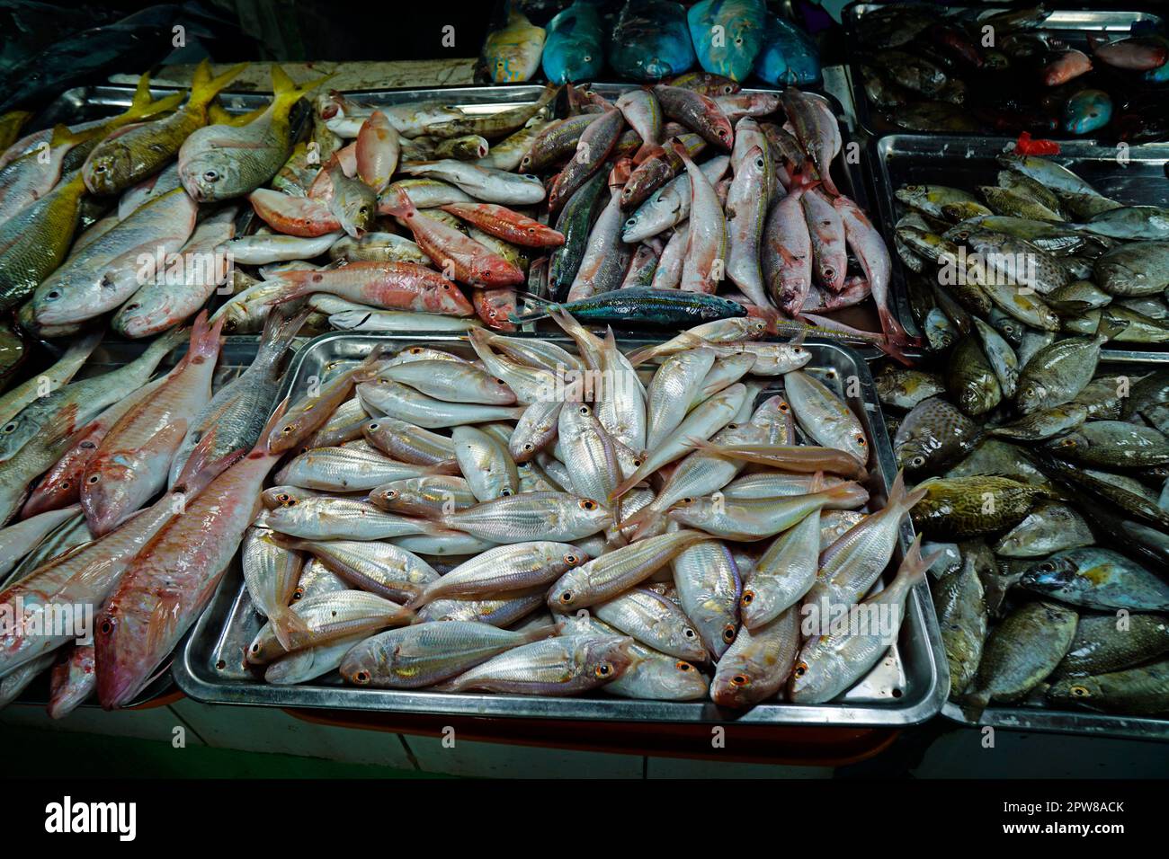 Fish market stall cebu city hi-res stock photography and images - Alamy