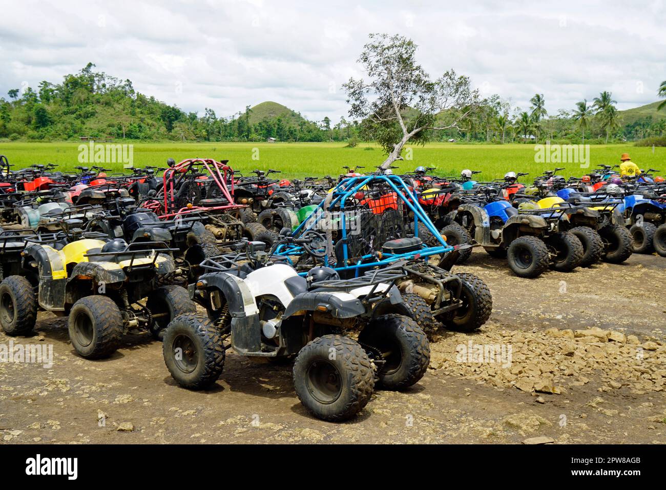 many quads at the areas of the chocolate hills on bohol island Stock ...