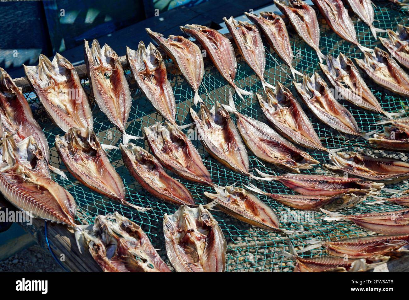 fresh fish from a fisherman village on the philippine islands Stock ...