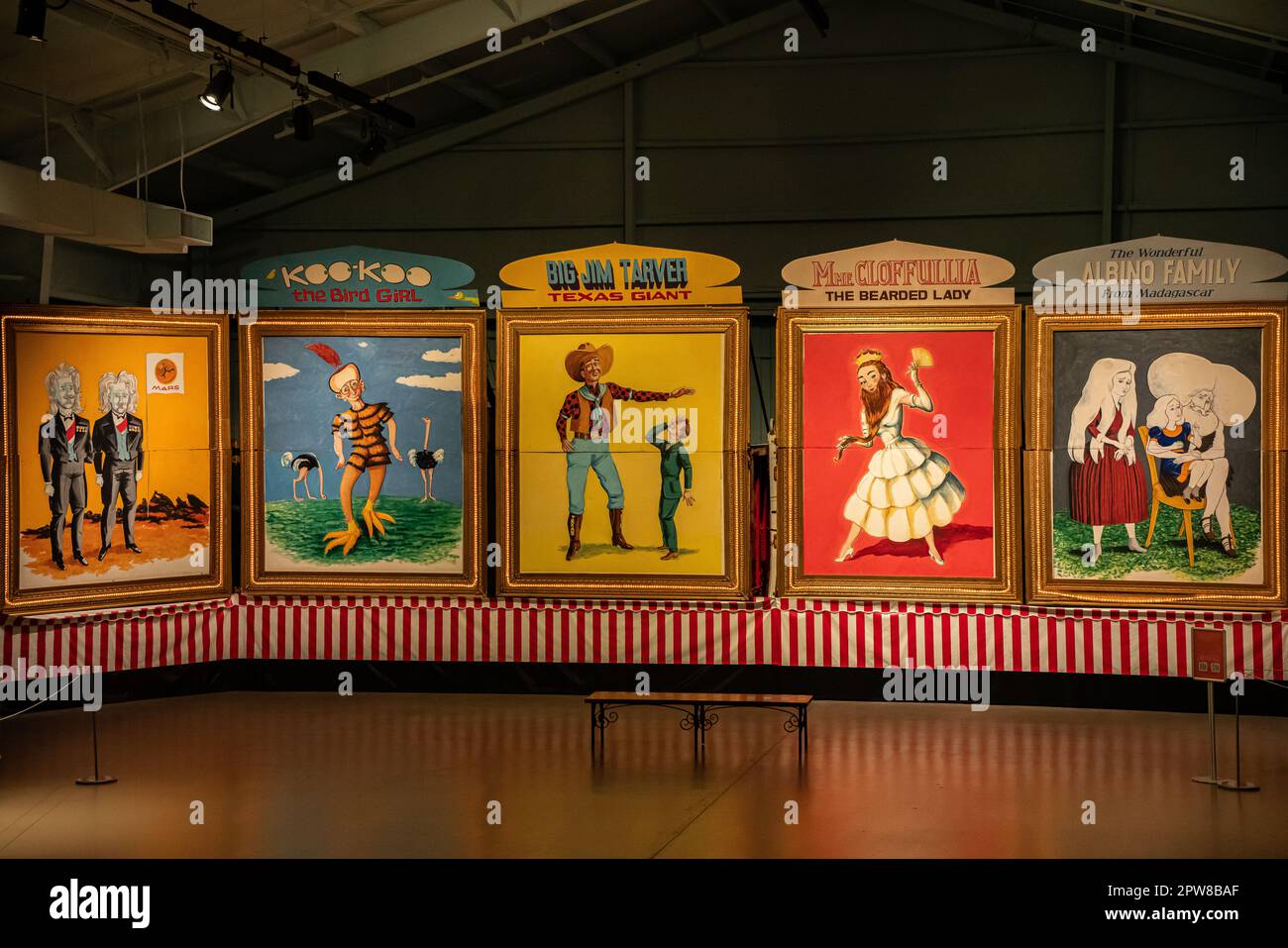 Colorful circus posters exhibits of the John Ringling Circus museum in ...