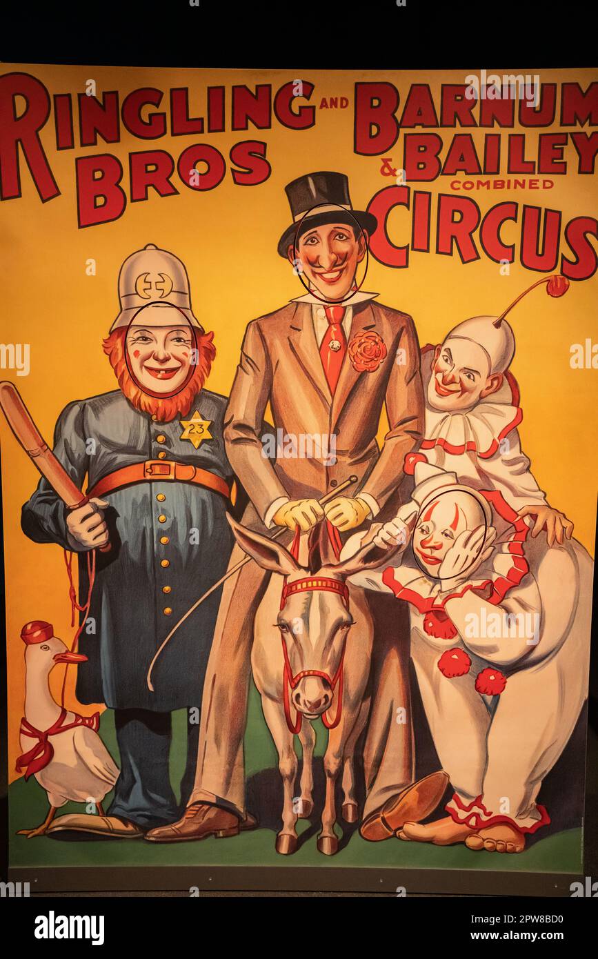 Colorful circus posters exhibits of the John Ringling Circus museum in ...