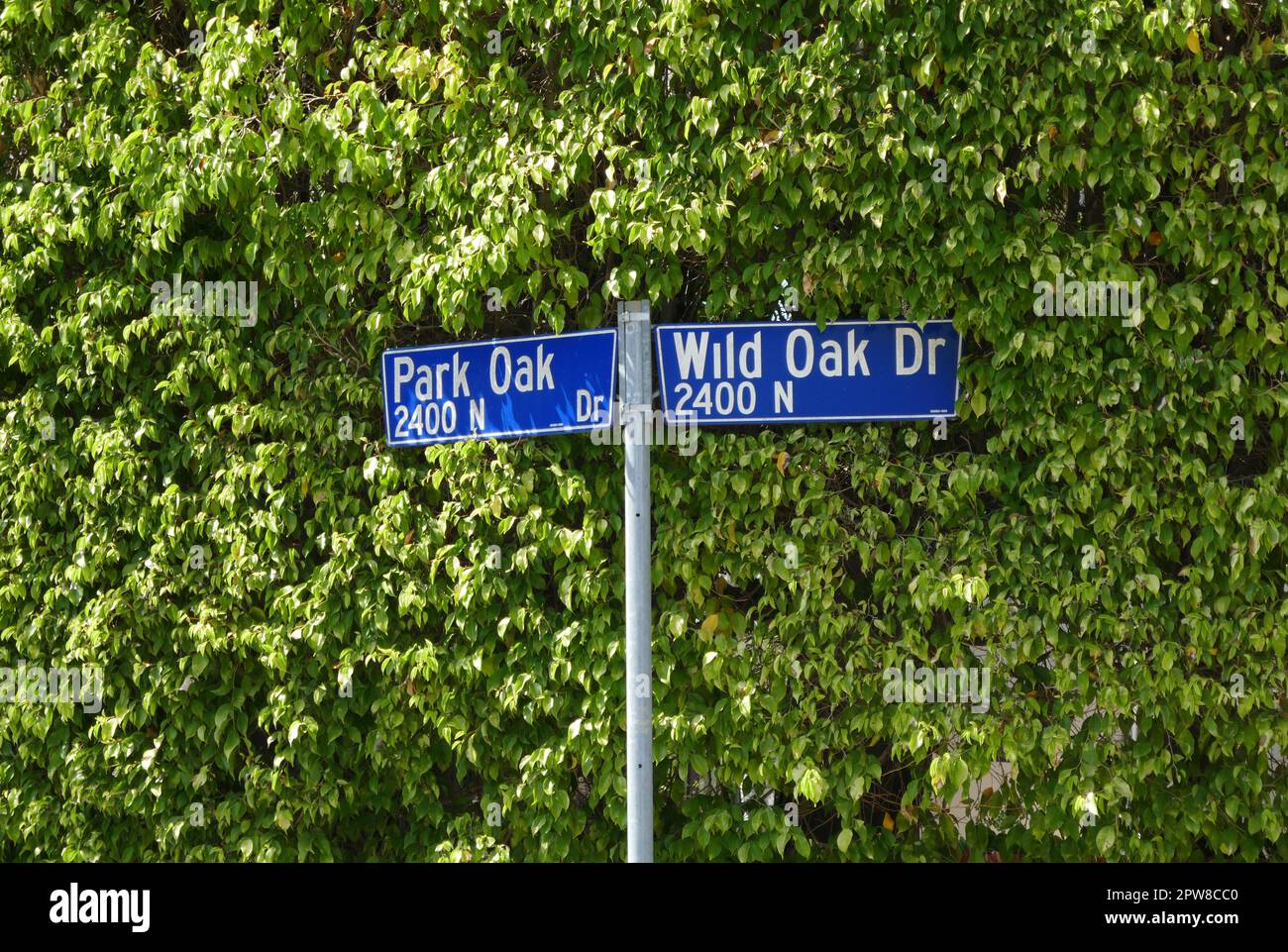 Los Angeles, California, USA 28th April 2023 Park Oak Drive and Wild ...