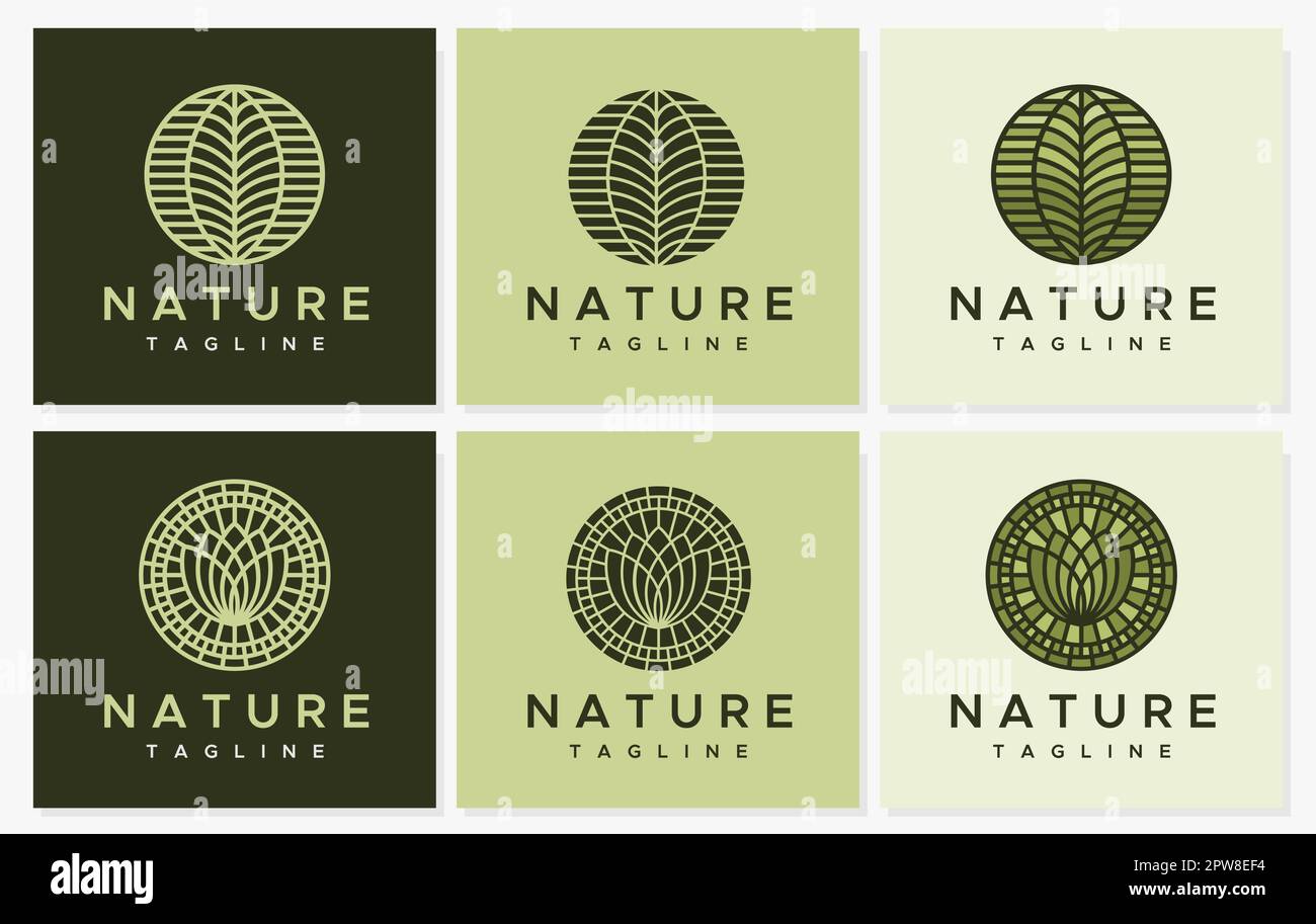 Line leaf logo design set. Modern nature line logo vector template ...