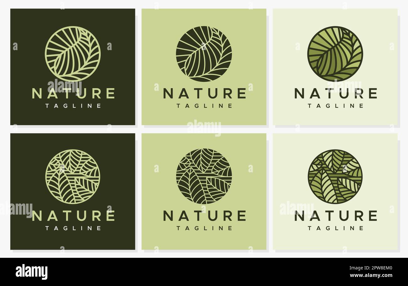 Modern eco line logo design template set. Leaf line logo graphic vector ...