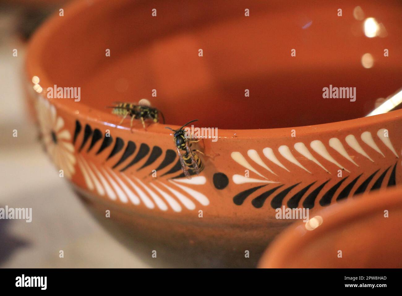Bee farm in Lithuania, Europe Stock Photo - Alamy