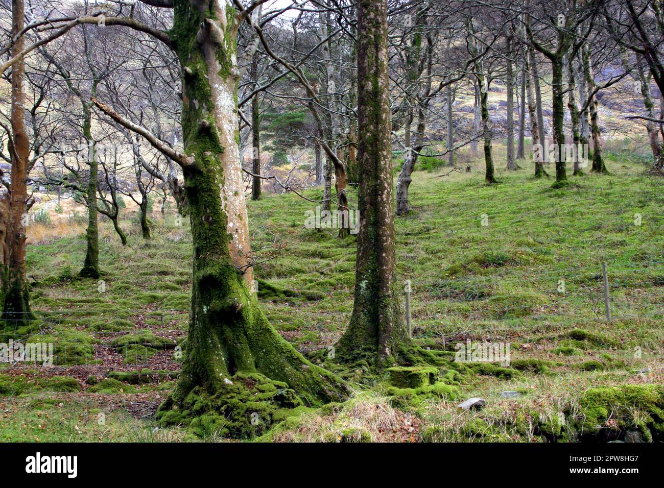 Sunny day county mayo hi-res stock photography and images - Alamy