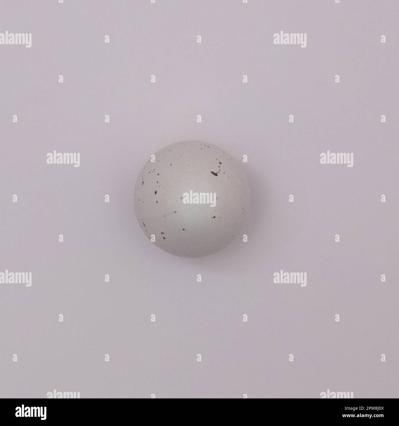 Easter white egg with black spots with copy space on a white background ...