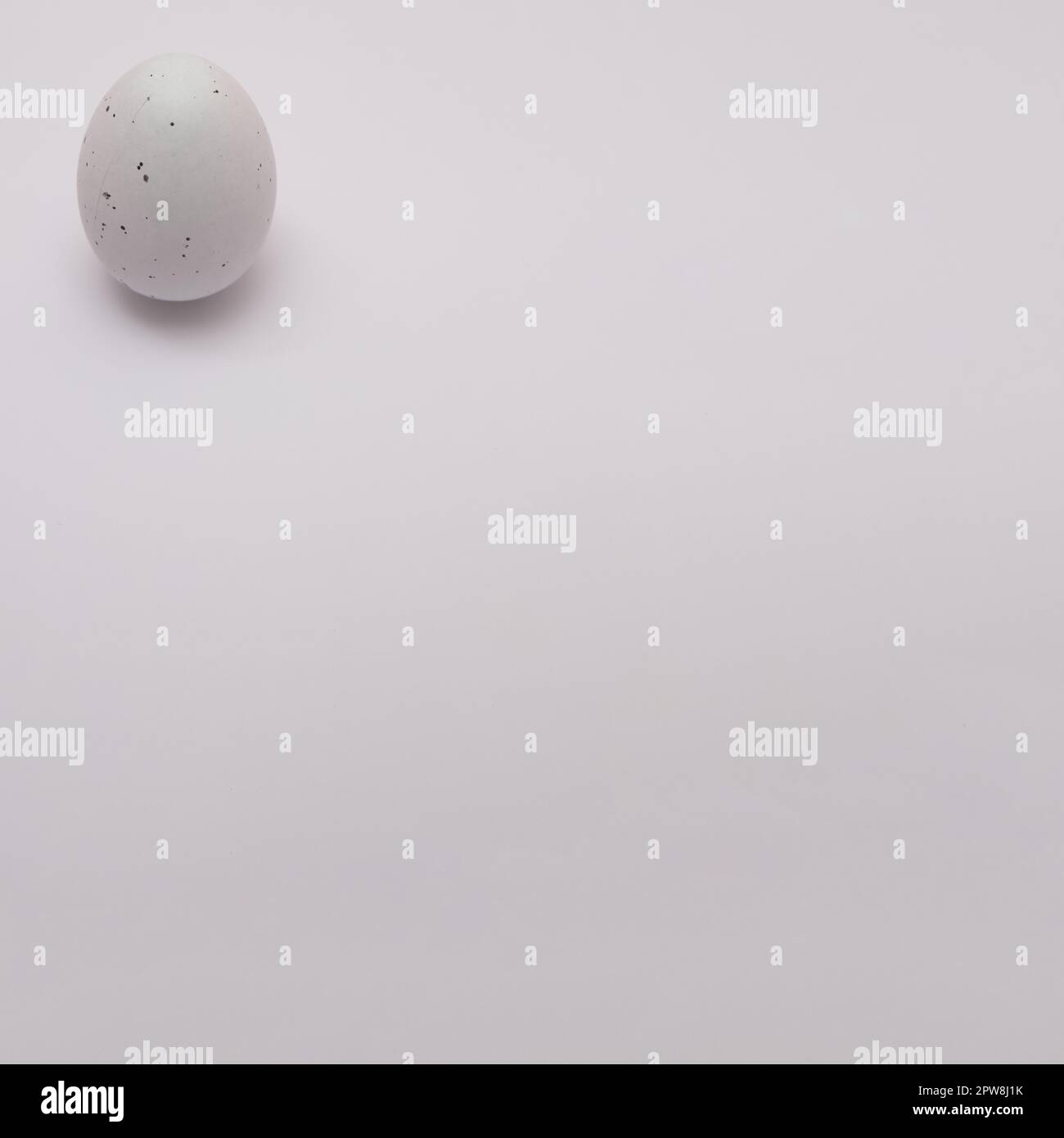 Easter white egg with black spots with copy space on a white background ...