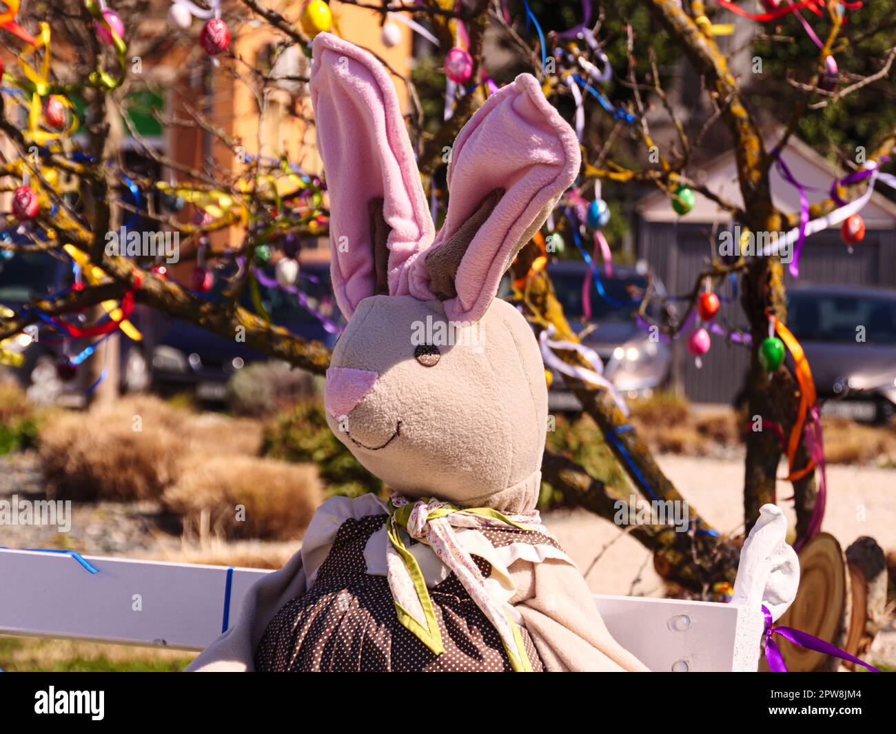 Rabbit grass bench hi-res stock photography and images - Alamy