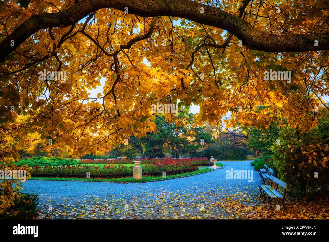 Park Ujazdowski in city of Warsaw in Poland. Sunlight in autumn tree ...