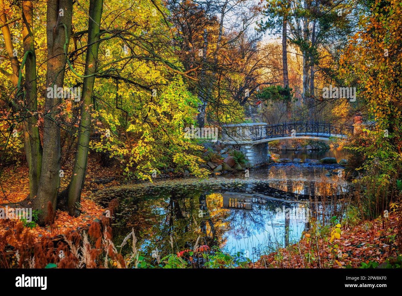 Ujazdów Park (Park Ujazdowski) autumn landscape with pond and ...