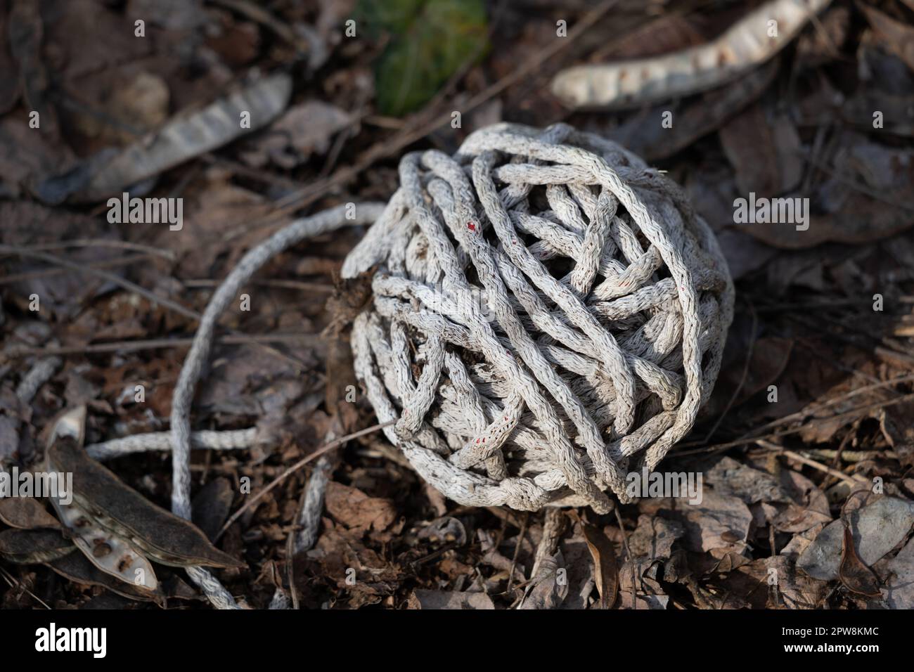 Ball of white string left on the ground, old and weathered Stock Photo ...