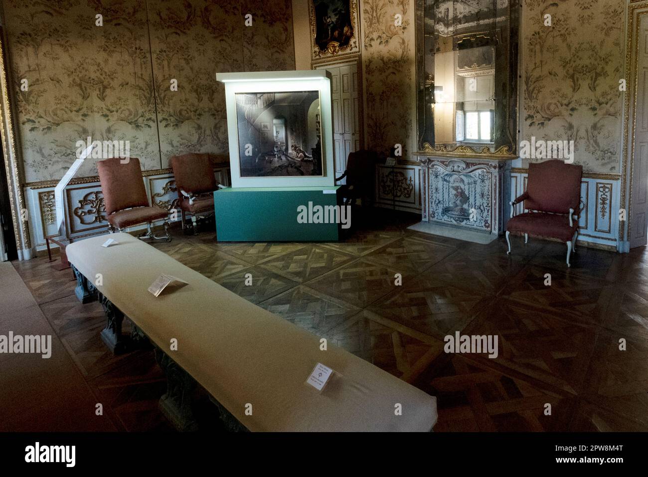 Pictures exhibition named “Divas Dog portraits” by Francesco Pergolesi ...