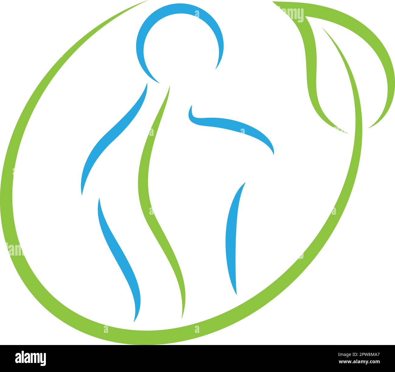 Human And Spine Chiropractor Physical Therapy Orthopedic And Massage