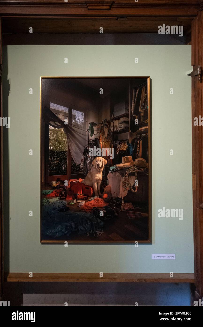 Pictures exhibition named “Divas Dog portraits” by Francesco Pergolesi ...