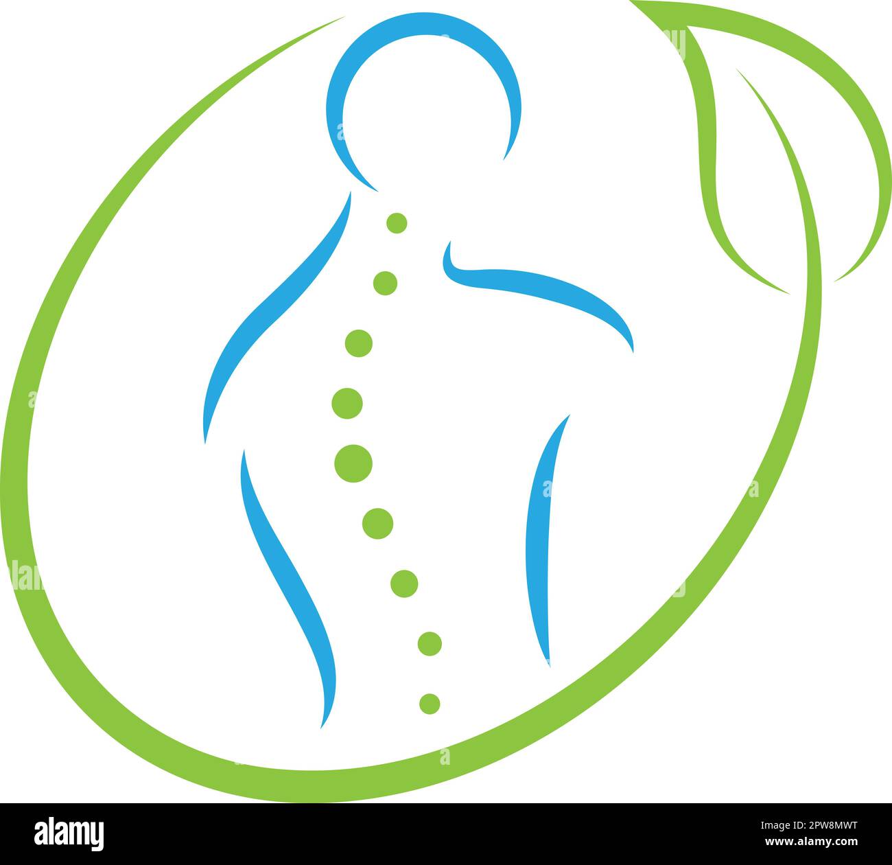 Human And Spine Chiropractor Physical Therapy Orthopedic And Massage