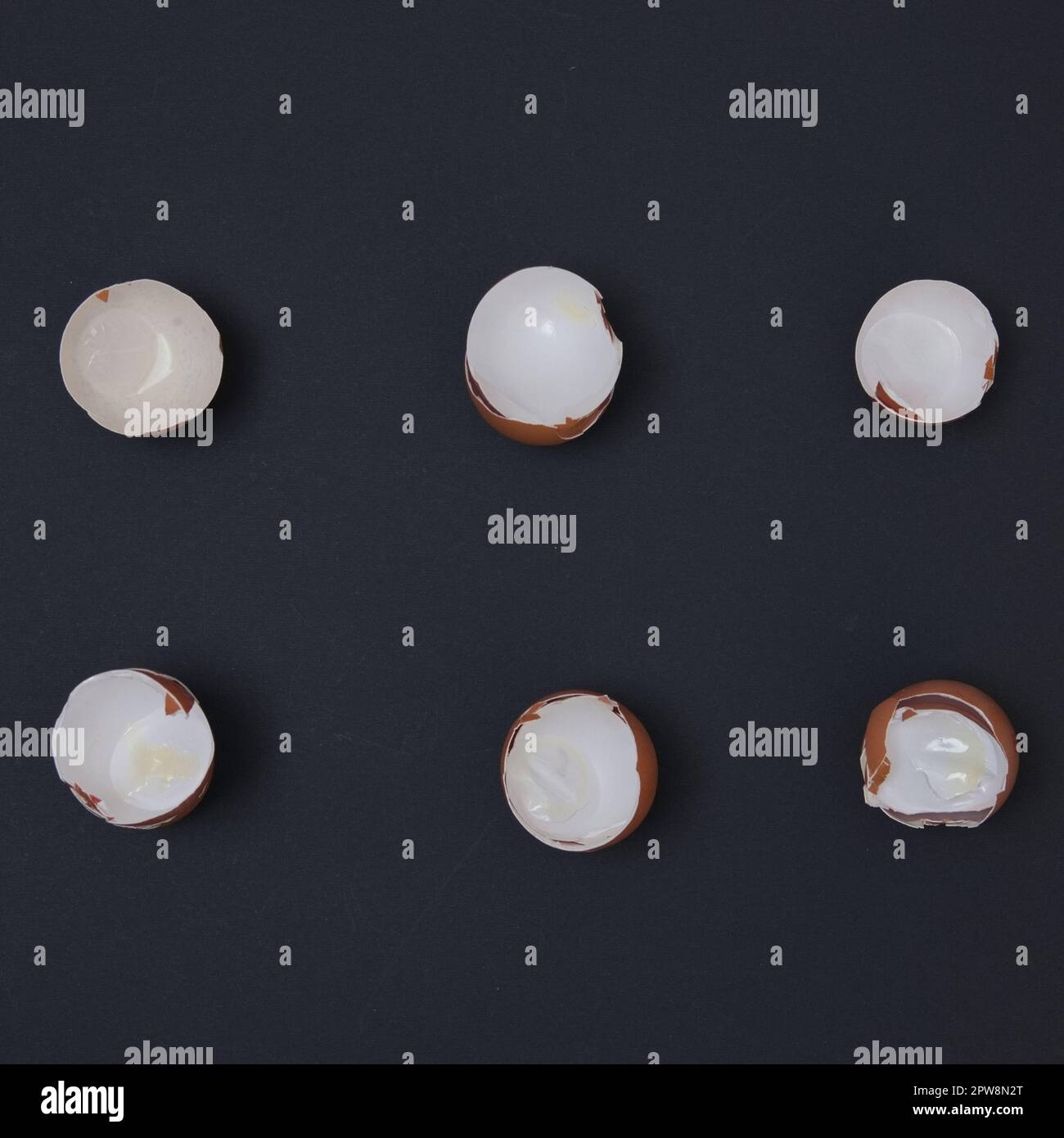 Egg shells arranged in the correct shape on a black background ...