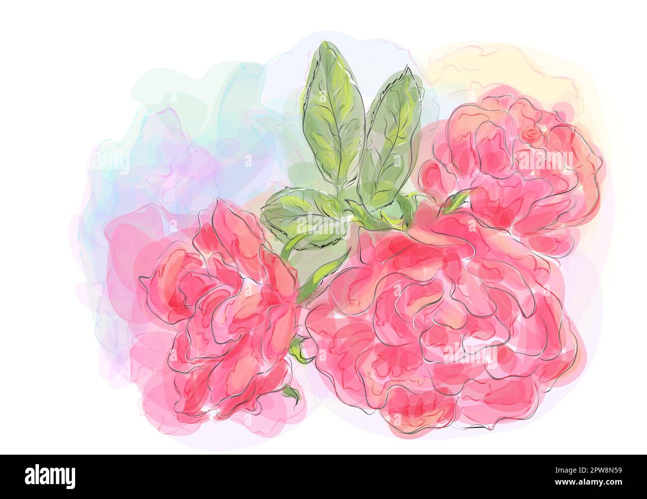 Flower rose plant roses watercolour Stock Vector Images - Alamy