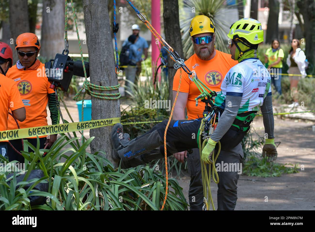 April 28,2023 Toluca Mexico : With the participation of 30 tree ...