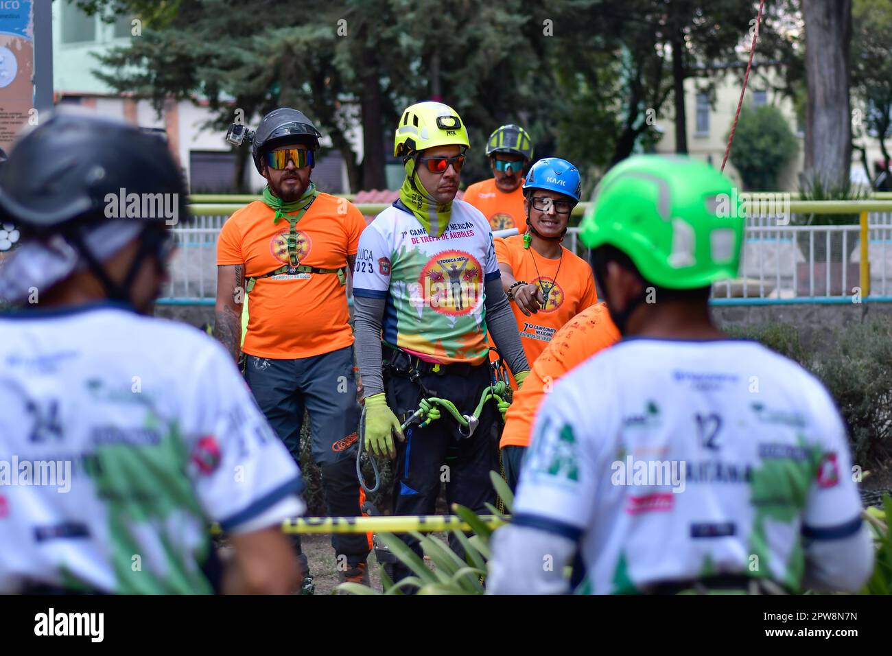 April 28,2023 Toluca Mexico : With the participation of 30 tree ...