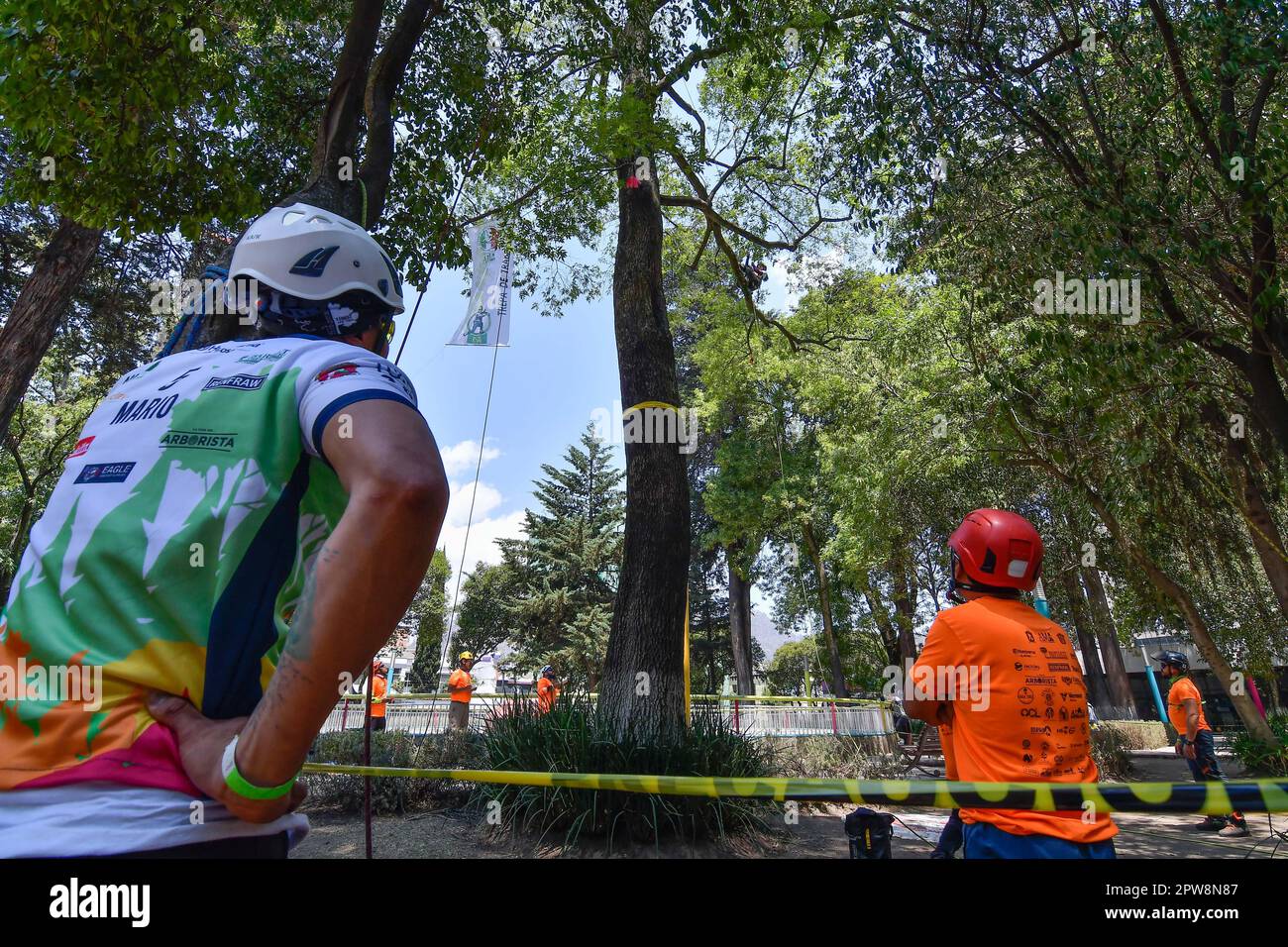 April 28,2023 Toluca Mexico : With the participation of 30 tree ...