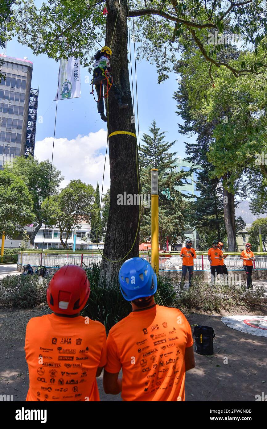 April 28,2023 Toluca Mexico : With the participation of 30 tree ...