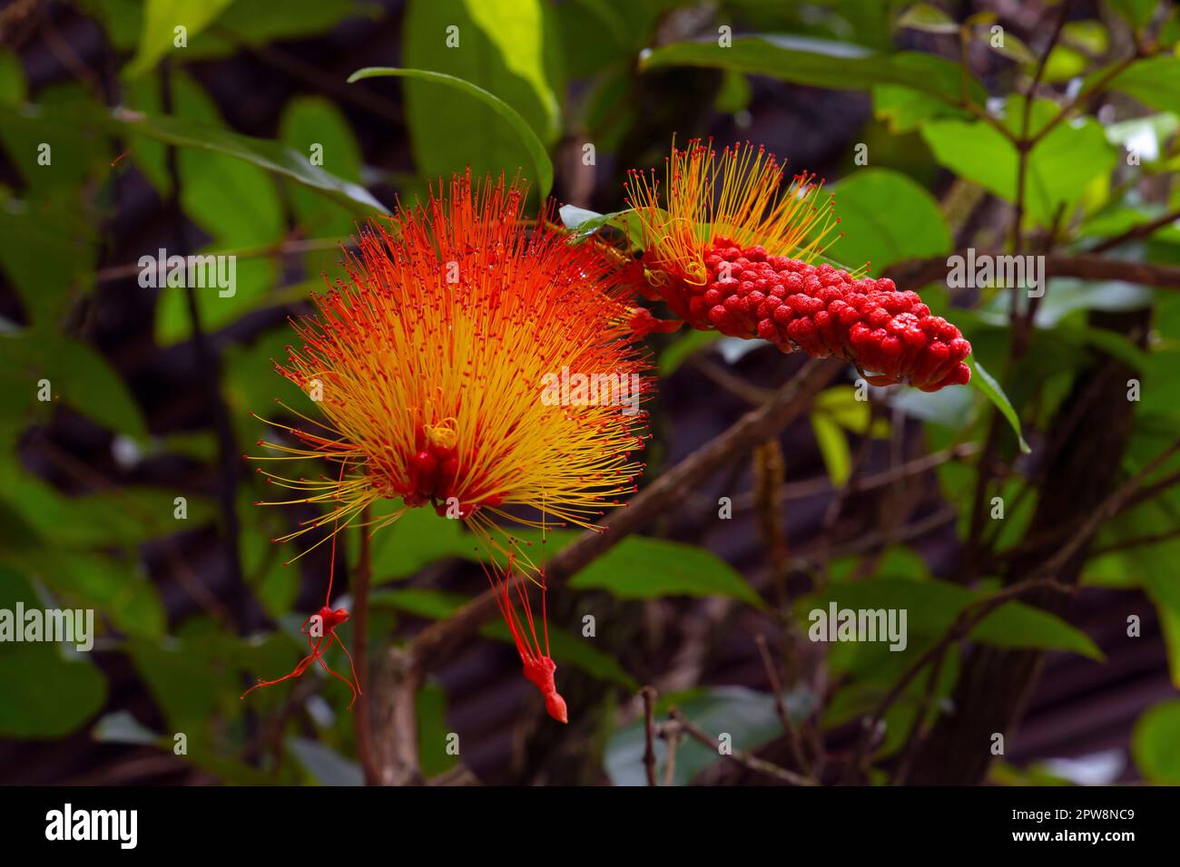 Gardens by the Bay brings to life vision of creating a Garden City ...