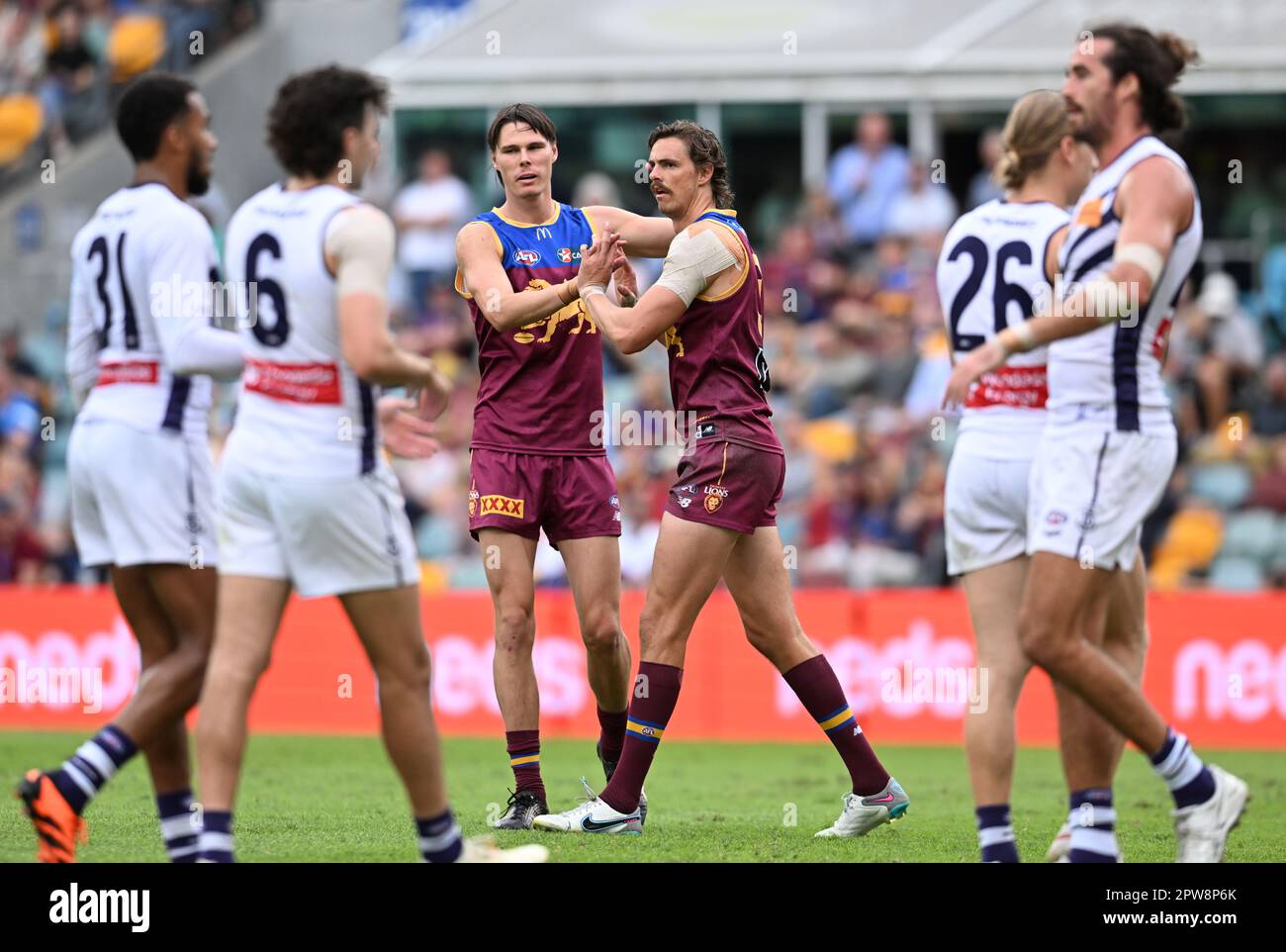 Joe Daniher (centre) of the Lions celebrates kicking a goal with Eric ...
