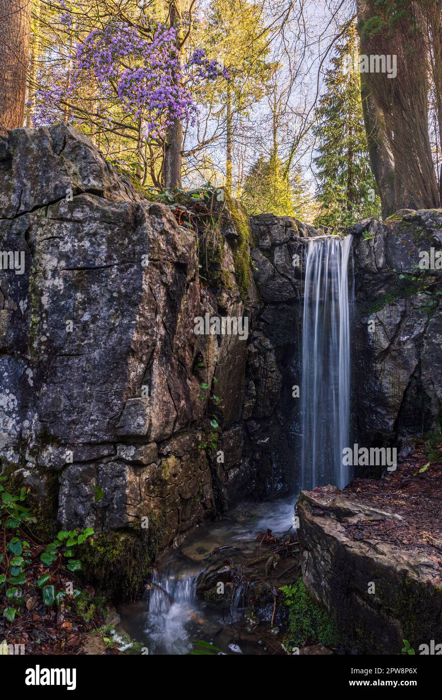 Waterfalls at The Vachery within Ashdown forest on the high weald East ...