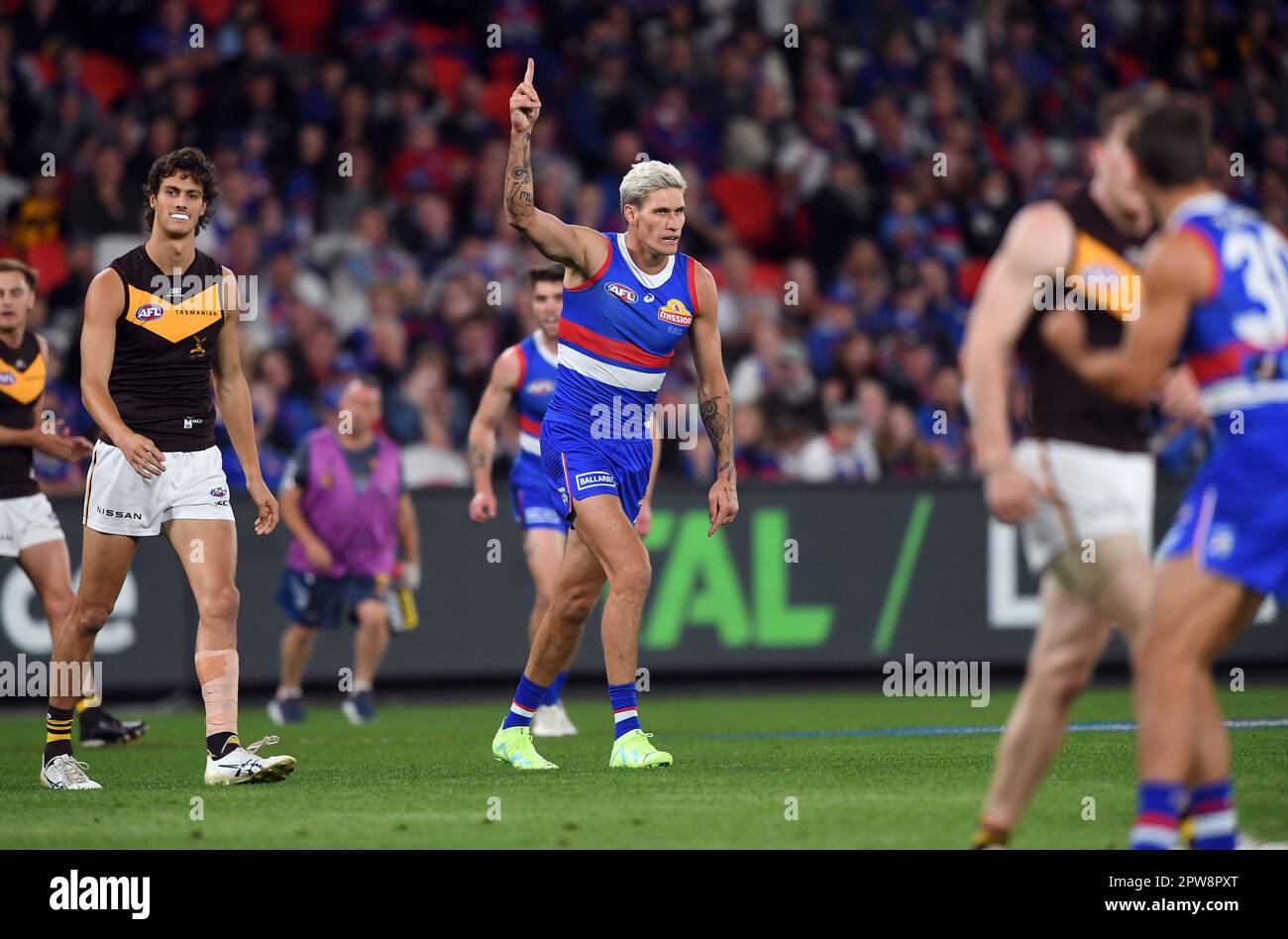 Rory Lobb of the Bulldogs reacts after kicking a goal during the AFL ...