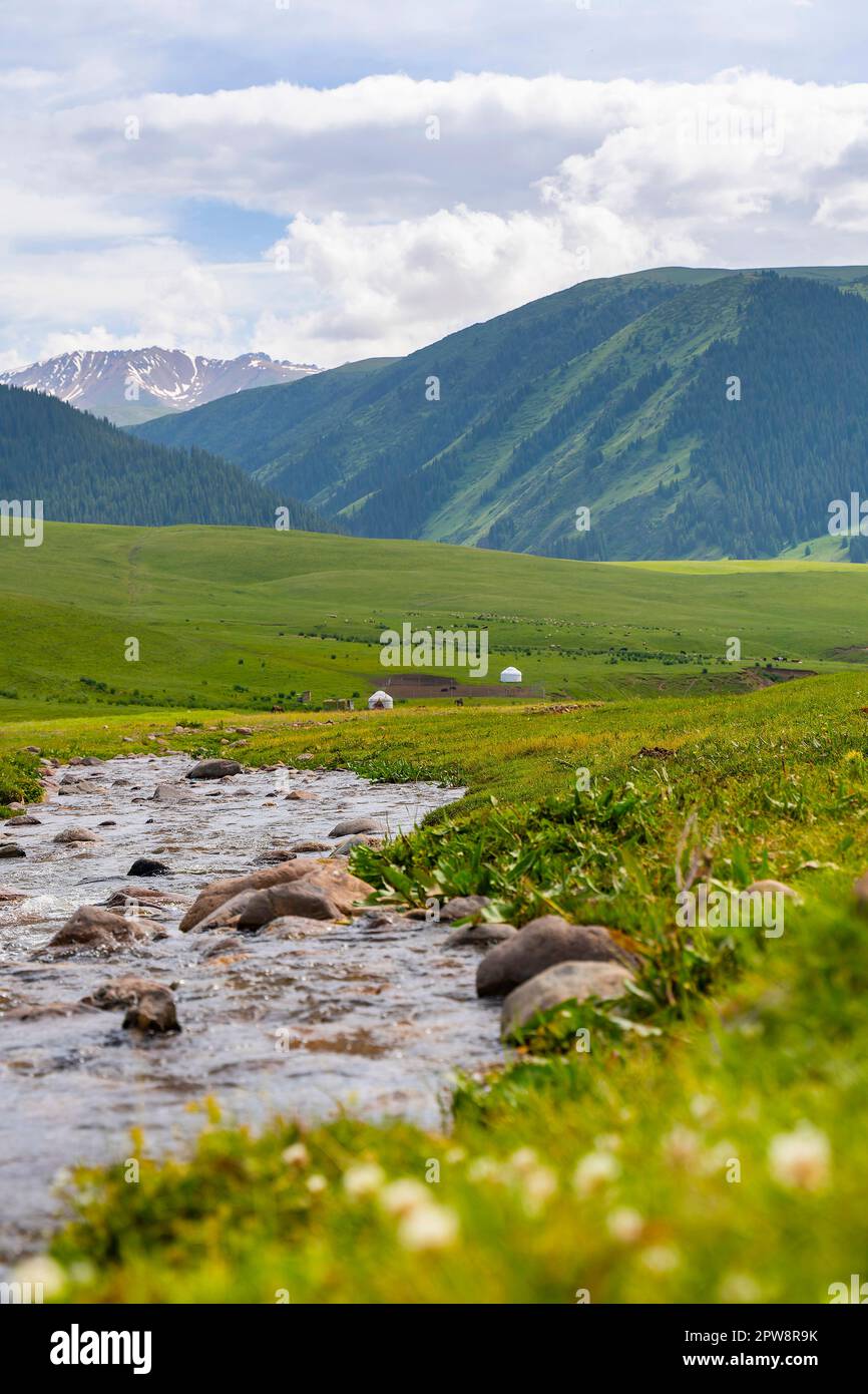 Beautiful nature of Kazakhstan on the Assy plateau in summer. Mountain ...