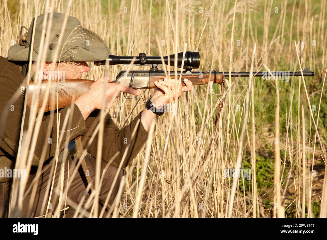 Nature, wildlife and male hunter with a shotgun while in camouflage ...