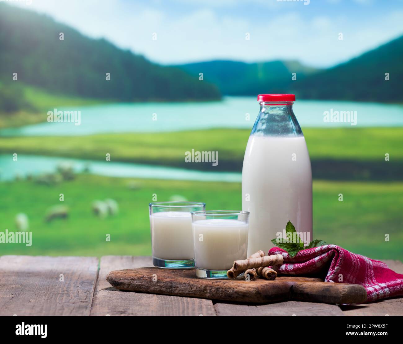 Organic Sheep's milk on the table. Daily milk in the bottle and full ...