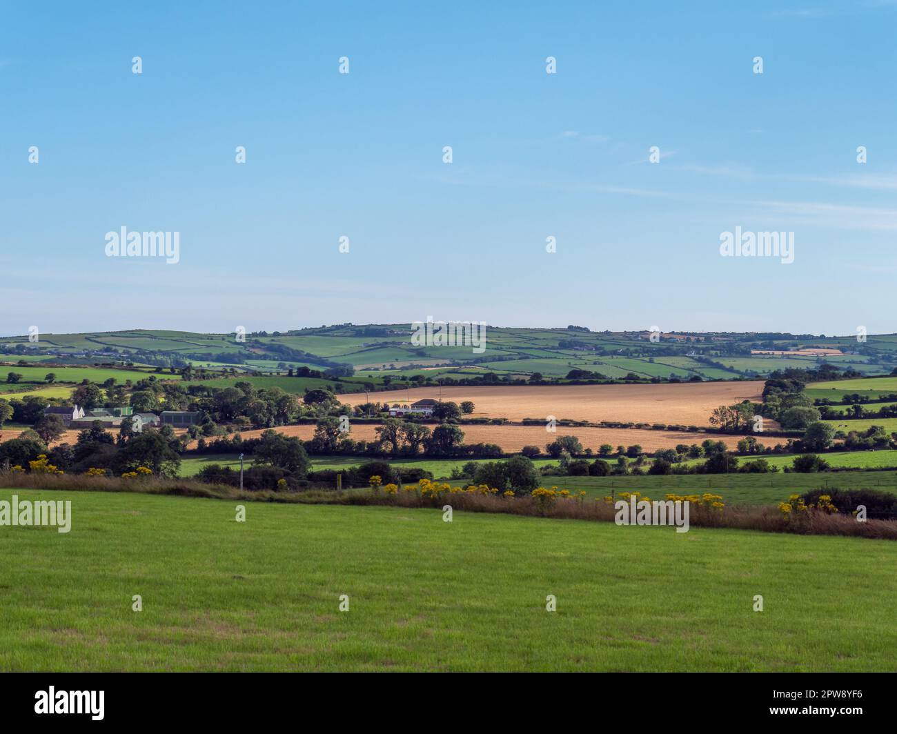 Green farm fields and hills in the evening in Ireland. Irish rural ...