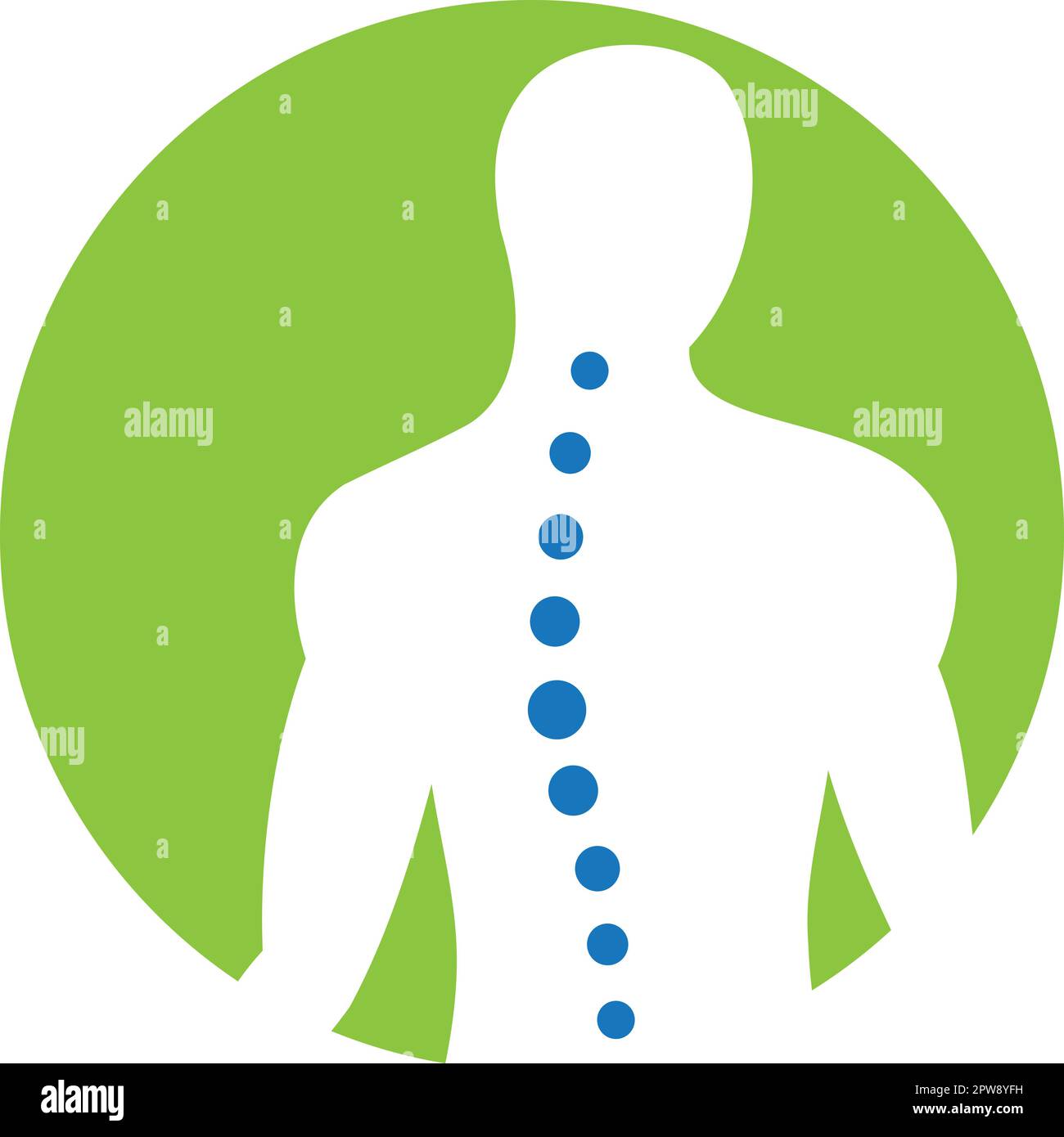 Human and spine, chiropractor, physical therapy, orthopedic and massage ...