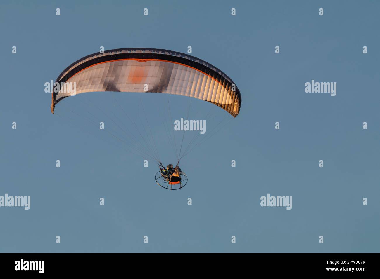 Primary glider hi-res stock photography and images - Alamy