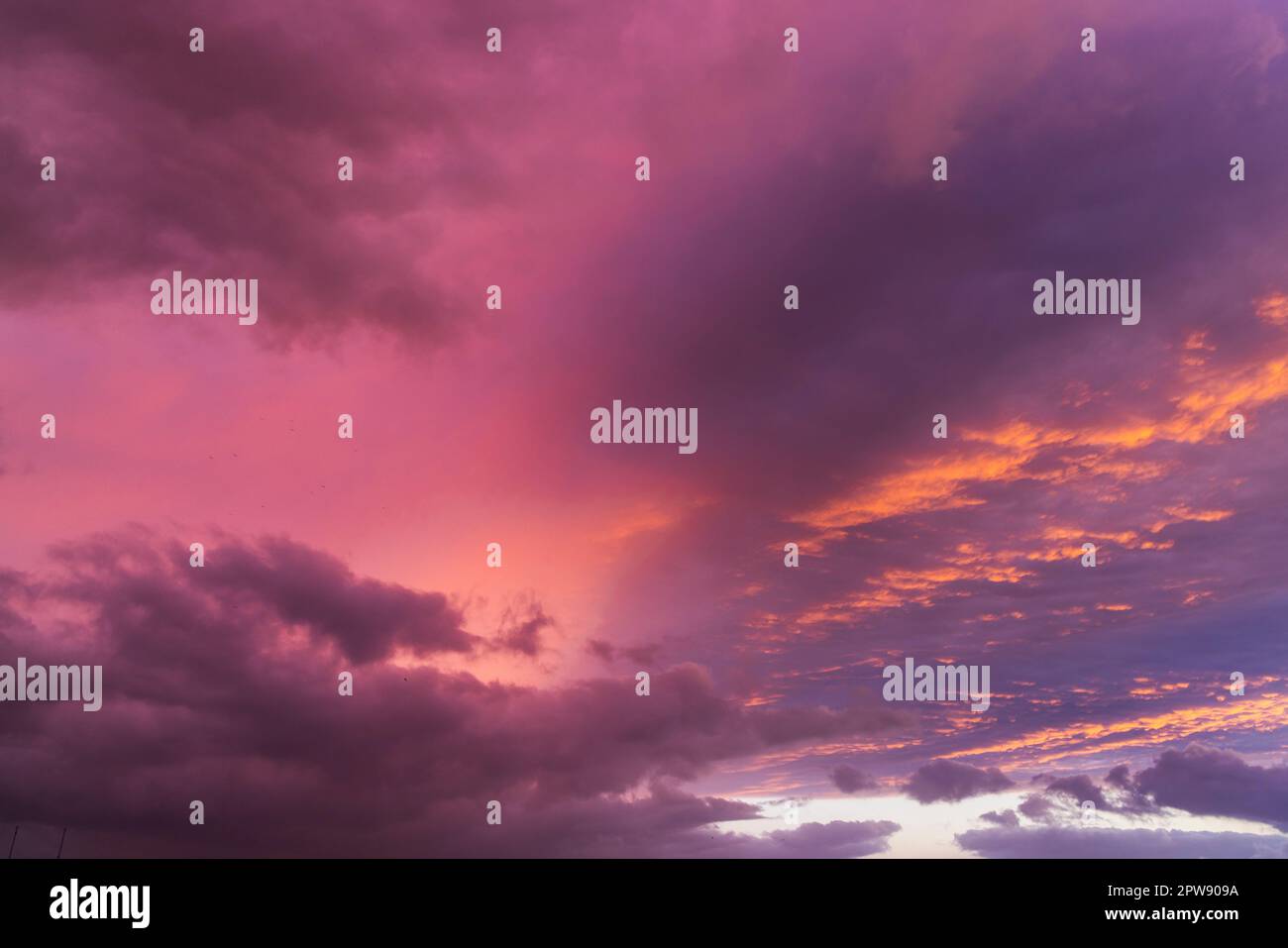 Pinkish hi-res stock photography and images - Alamy