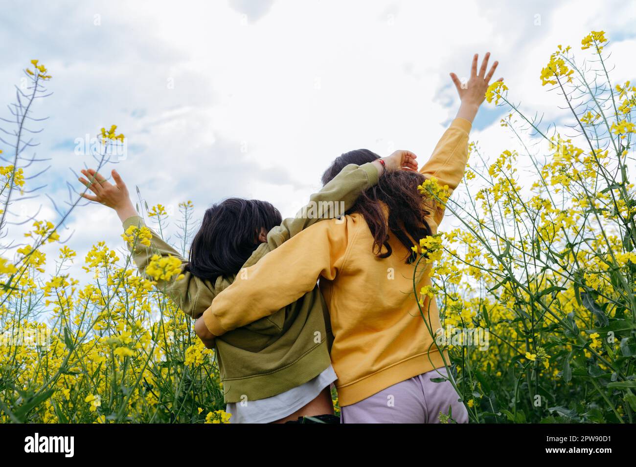 back view of two children hugging each other in the field with yellow flowers Stock Photo - Alamy