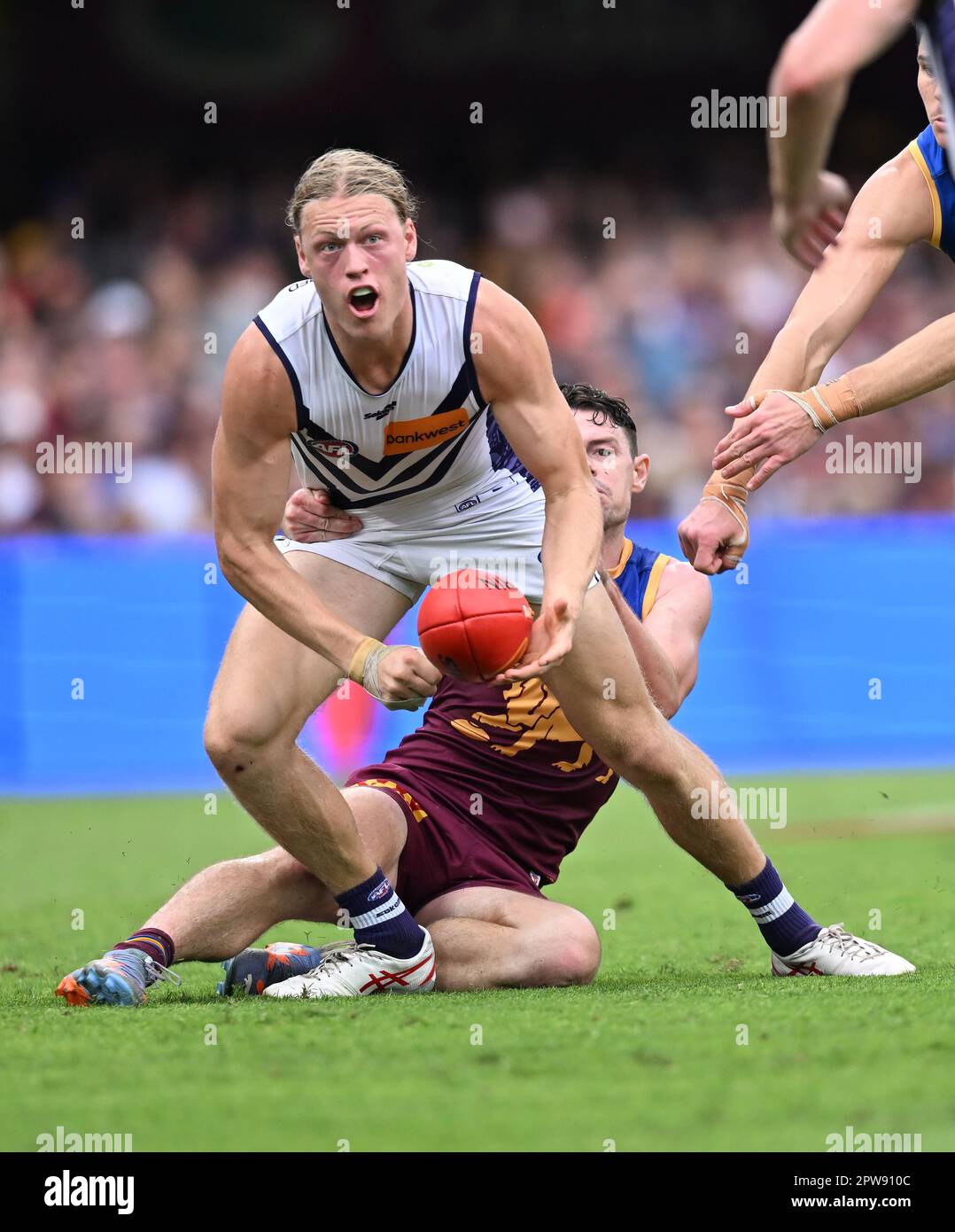 Hayden Young of the Dockers in action during the AFL Round 7 match ...