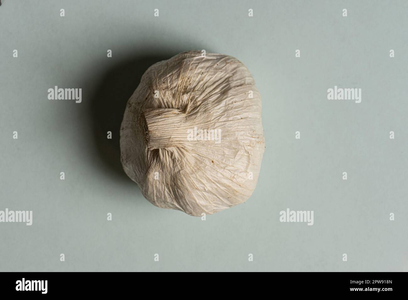 Garlic Allium sativum viewed from above Stock Photo - Alamy