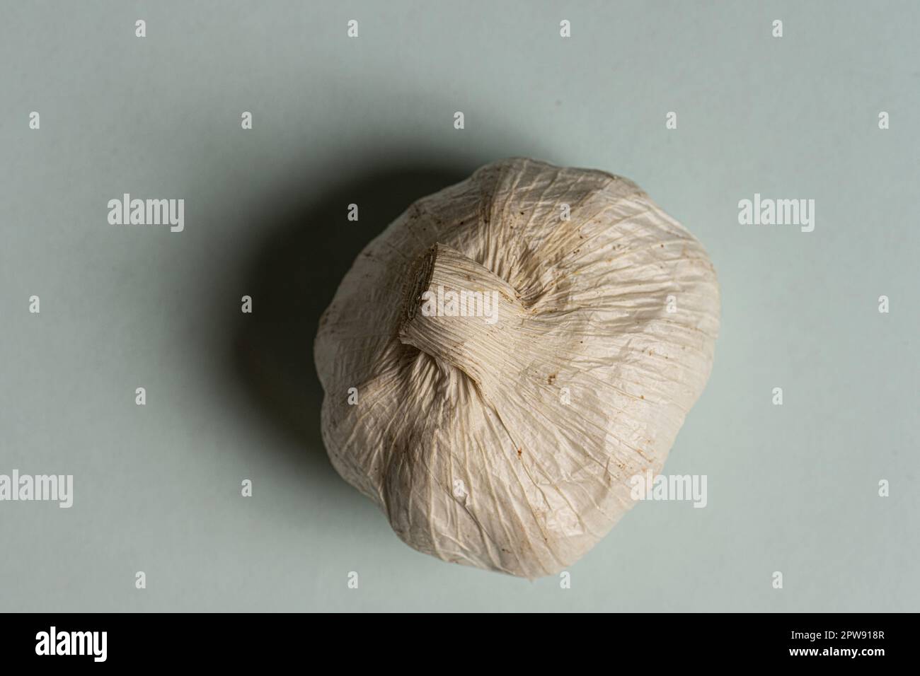Garlic Allium sativum viewed from above Stock Photo - Alamy