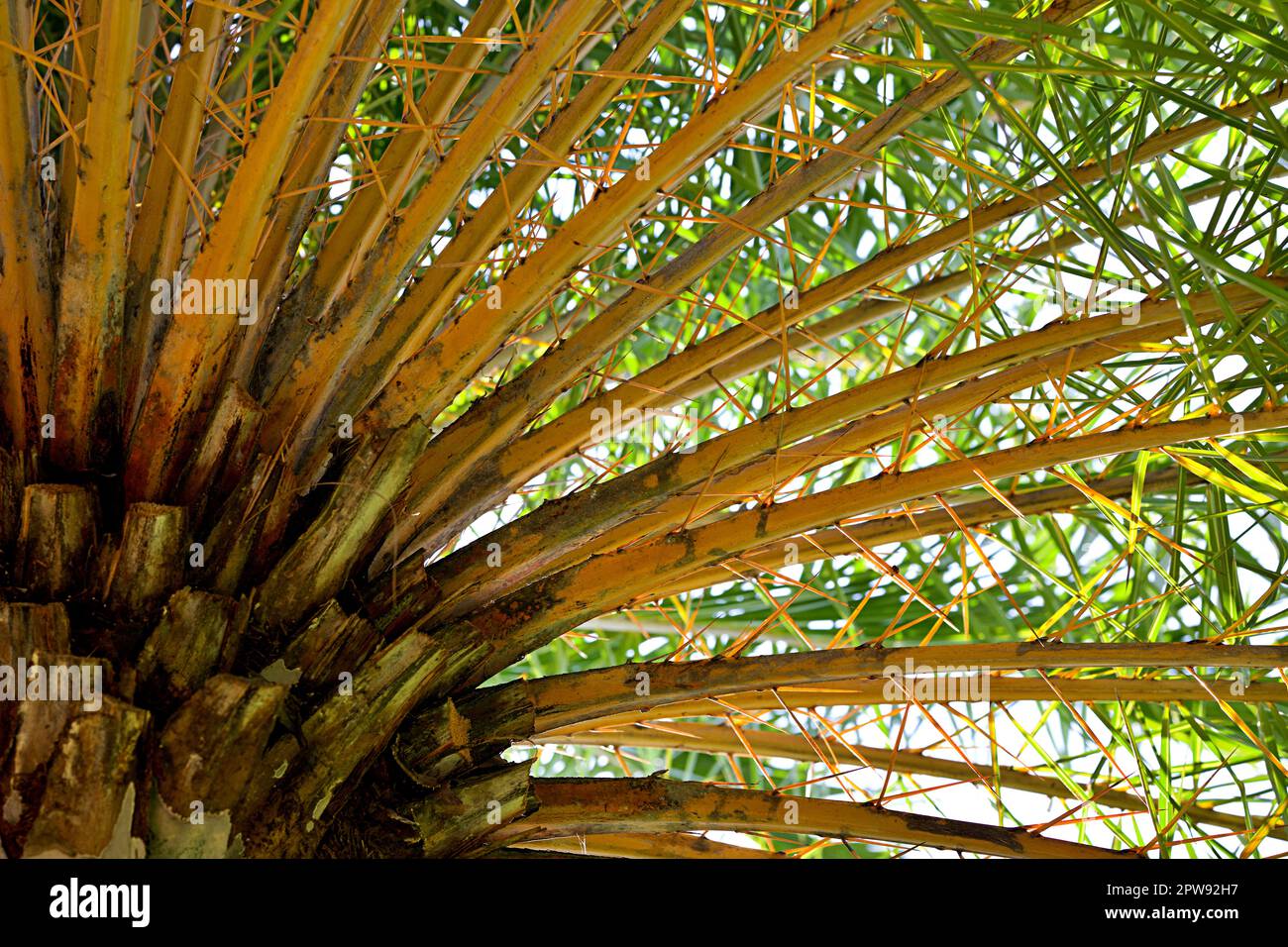 Statue is an object made from a hard material, especially stone or ...